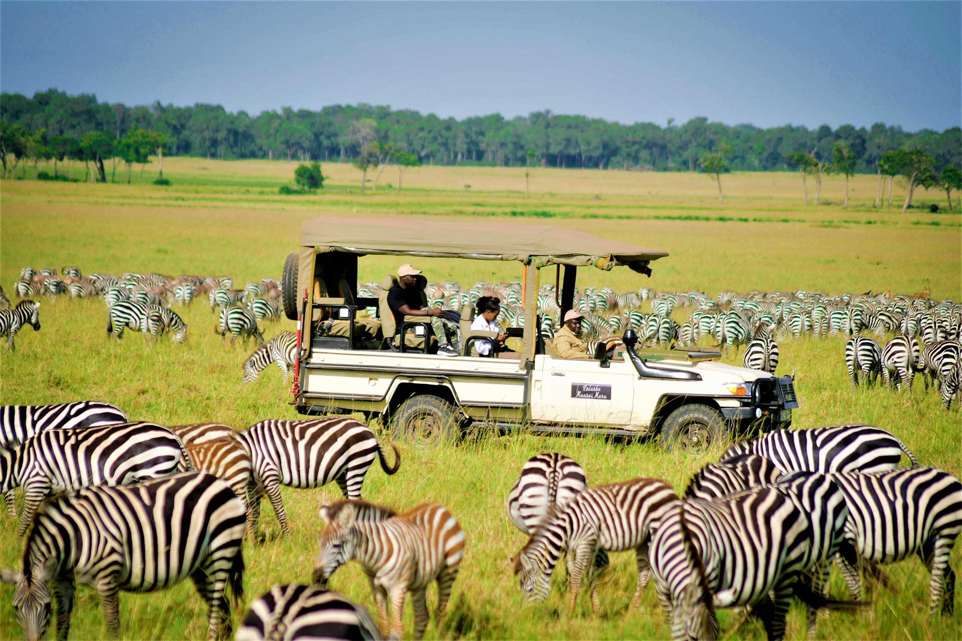 Top 5 Best Game Reserves In Kenya
