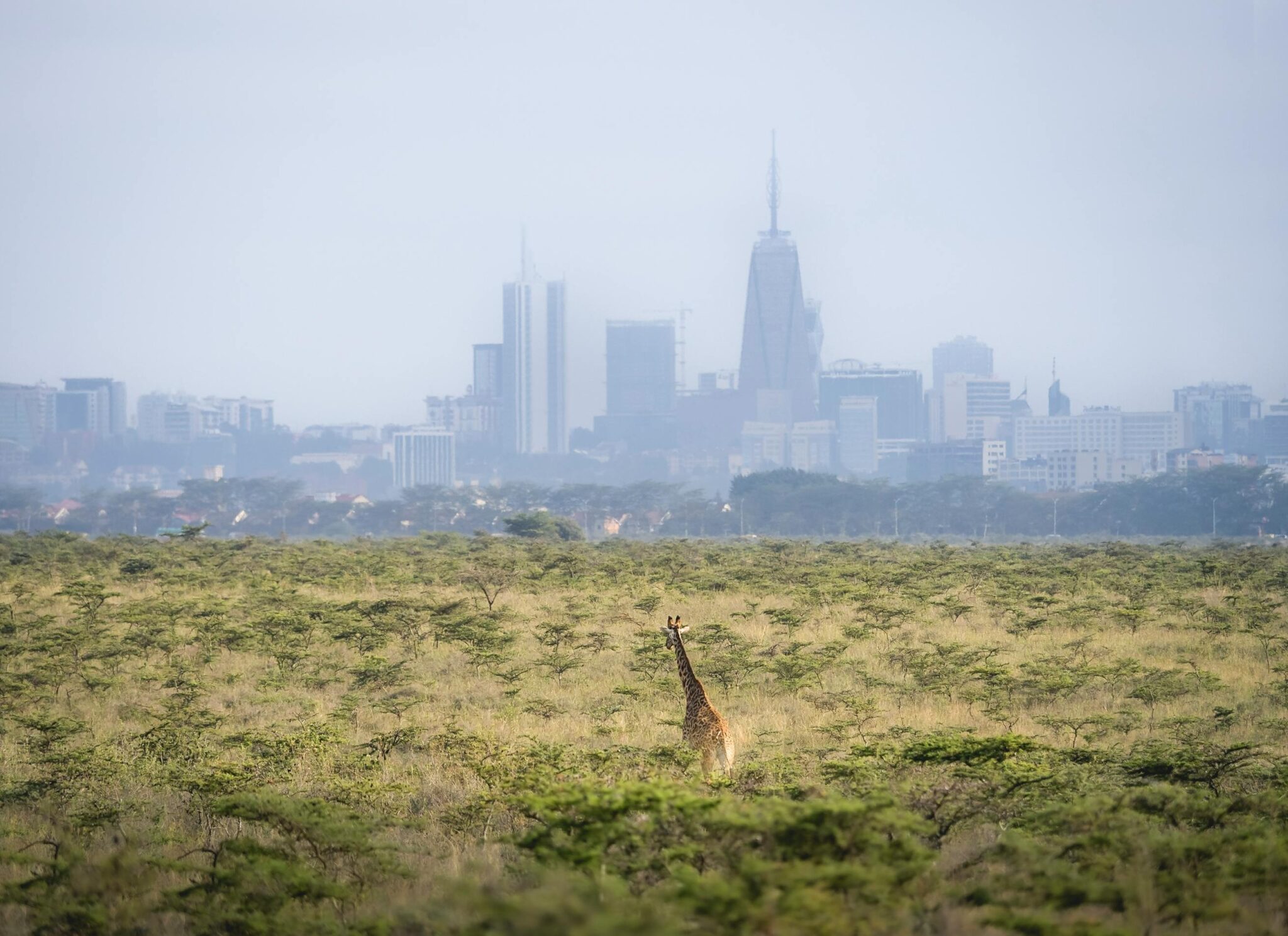Nairobi City Guide: Exploring Kenya’s Bustling Capital