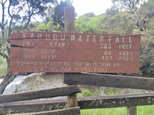 Karuru Falls: Kenya’s Tallest Waterfall In The Aberdares