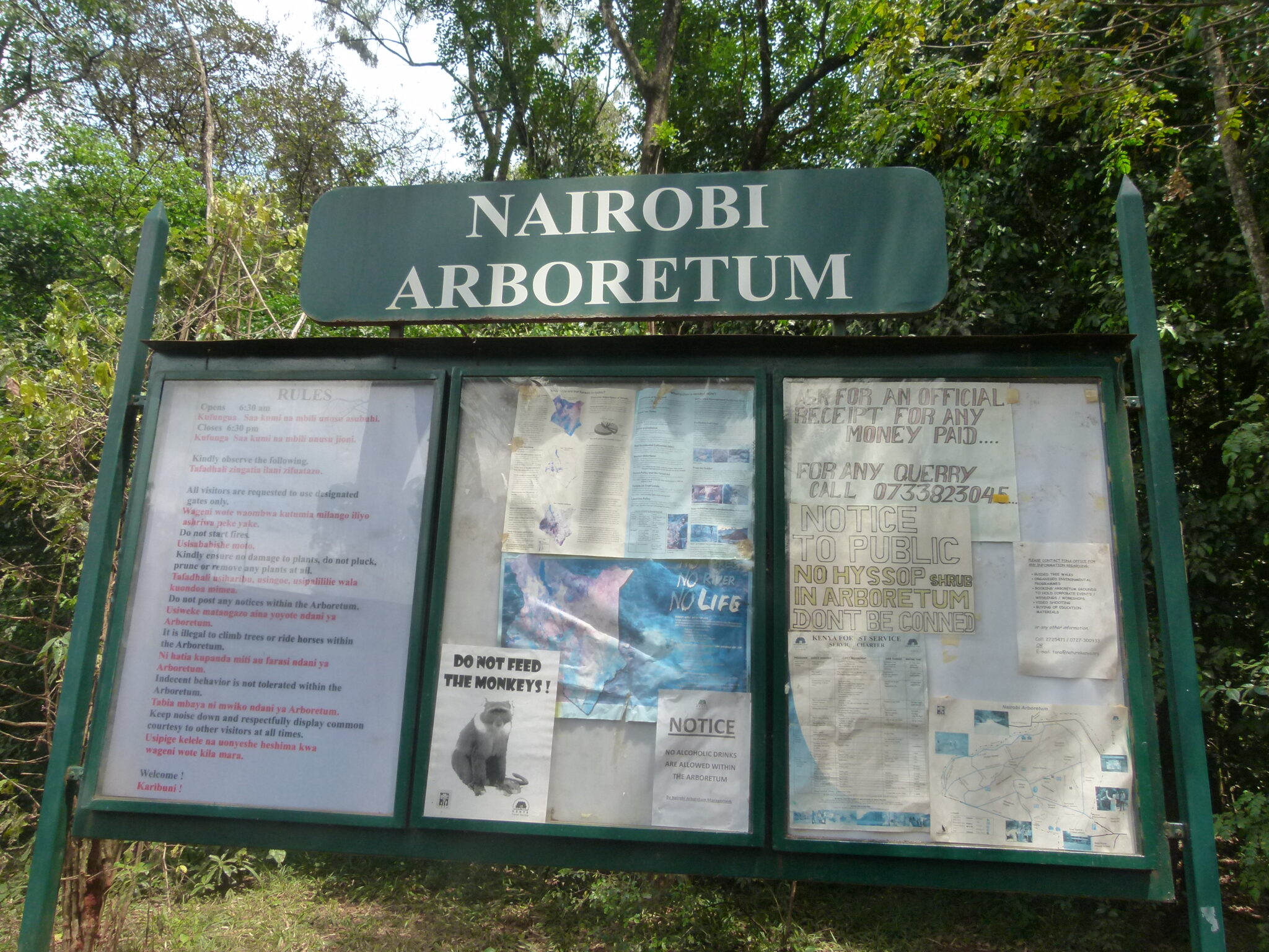 Nairobi Arboretum: Nature’s Refuge In The City