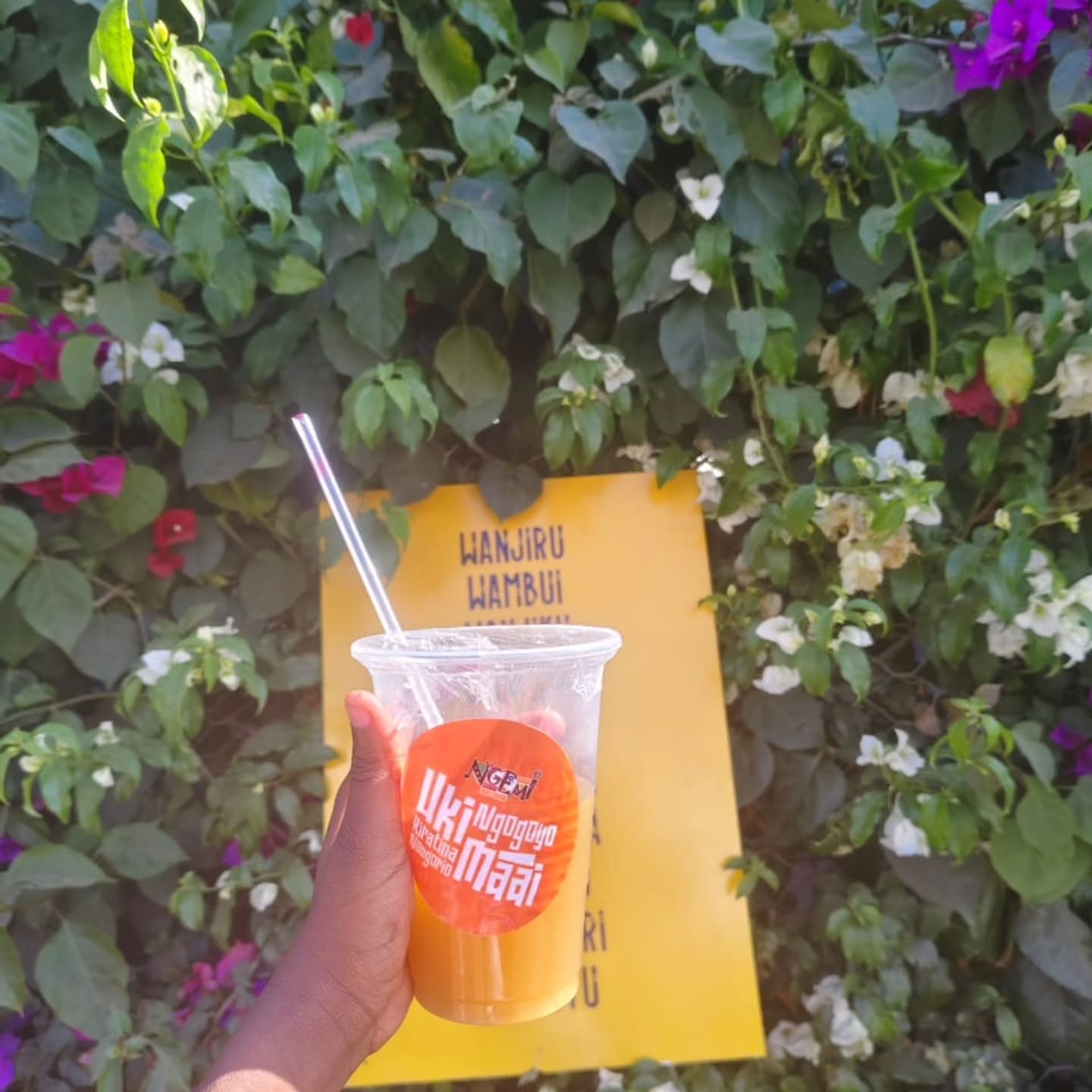 Ngemi Festival: A Modern Celebration of Kikuyu Roots and Culture ...