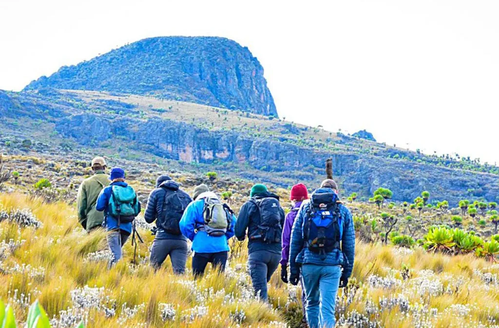 Mount Elgon Trail Hike Challenge: A Rugged Trek Worth Every Step