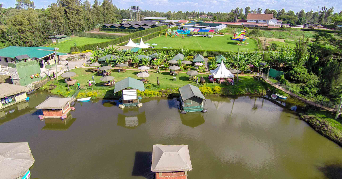 Stedmark Gardens In Karen – Complete Guide To Experience, Explore & Enjoy